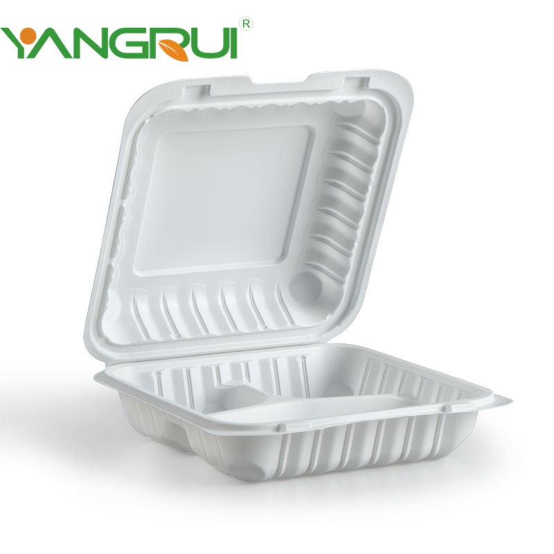 Compact Convenience: Mini To Go Boxes, Practical Pack to Go Lunch ...